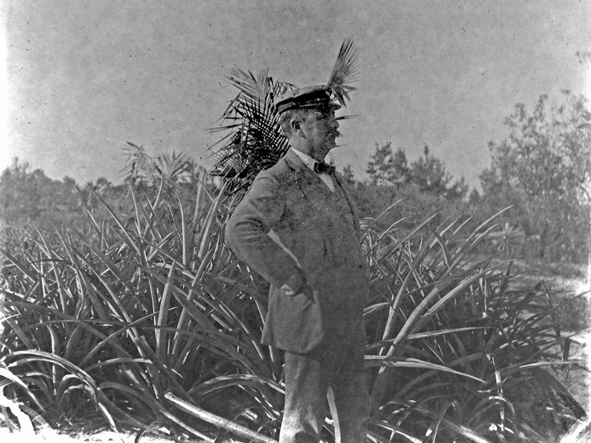 Louis C. and William D. McFarlan - The 1895 Church of StuArt