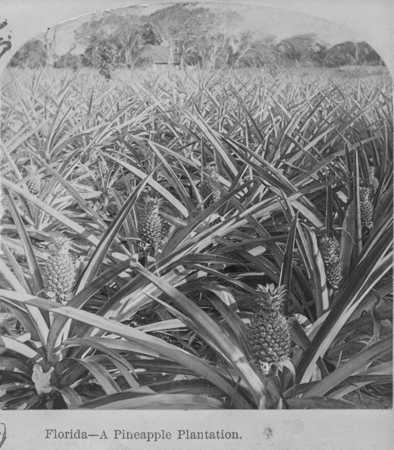 A Cheap Way To Live. How a Florida Man Saves Money and Grows Rich ...